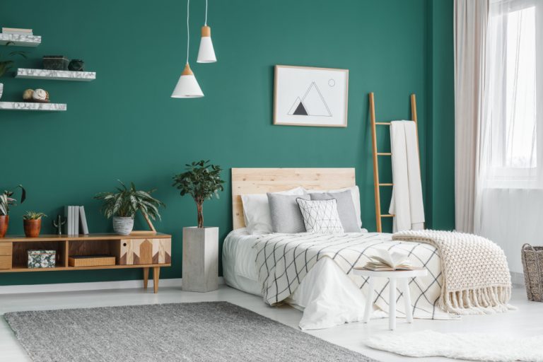 Update Your Space: Trendy Cushions for 2026 - Homelane