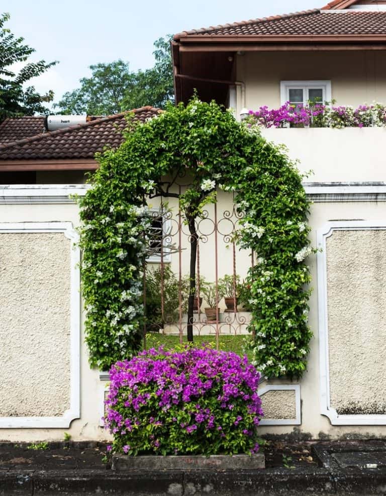 14 Boundary Wall Designs for Stylish and Secure Homes