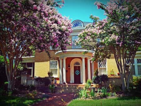 Captivating House Parapet Designs Ideas for Urban Homes