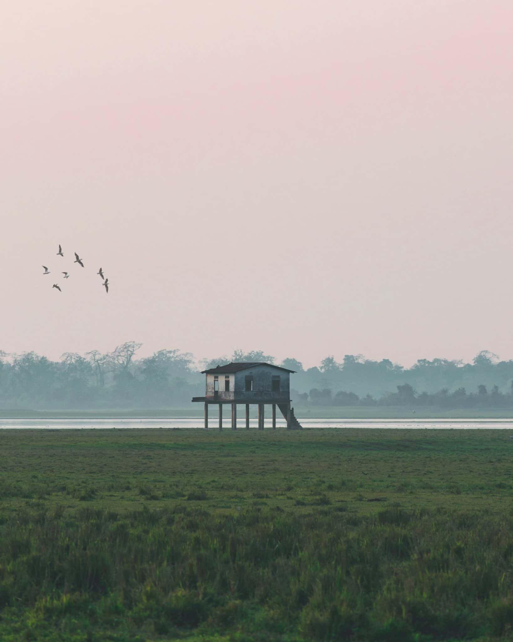 Stilt House Meaning Benefits and Building Materials Explained