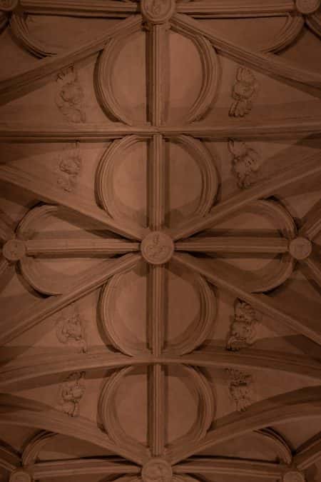 12 Simple Ceiling Flower Designs to Brighten Your Space