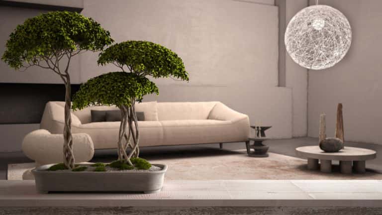 1 BHK Interior Designs for Affordable and Stylish Makeovers