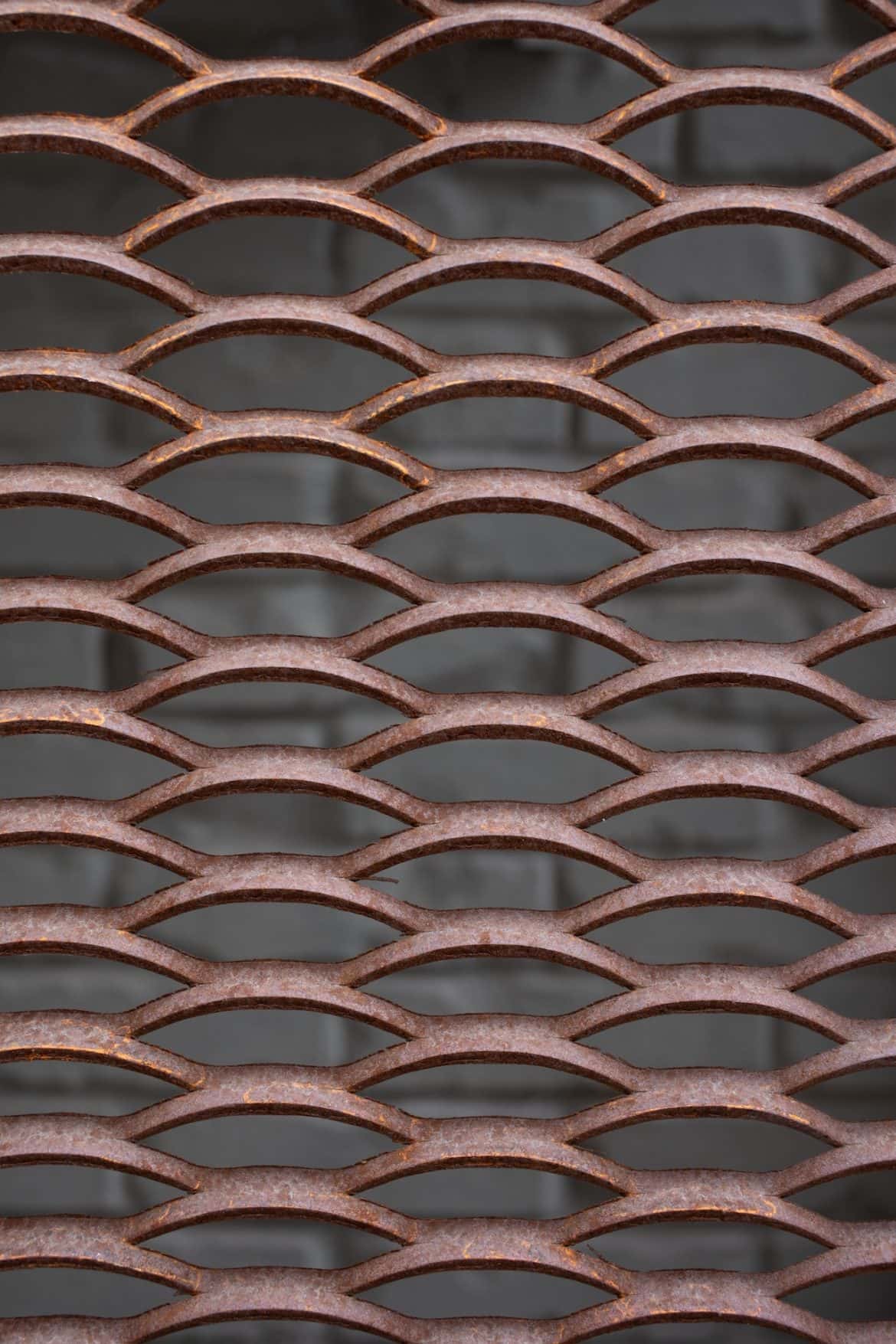 Ceiling Jali Designs to Elevate Your Home’s Interiors