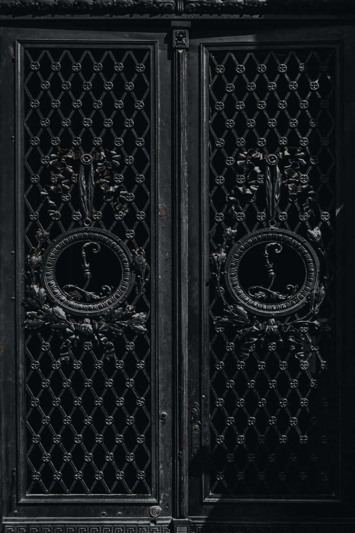 Double Door Grill Gate Designs for Stylish and Secure Homes