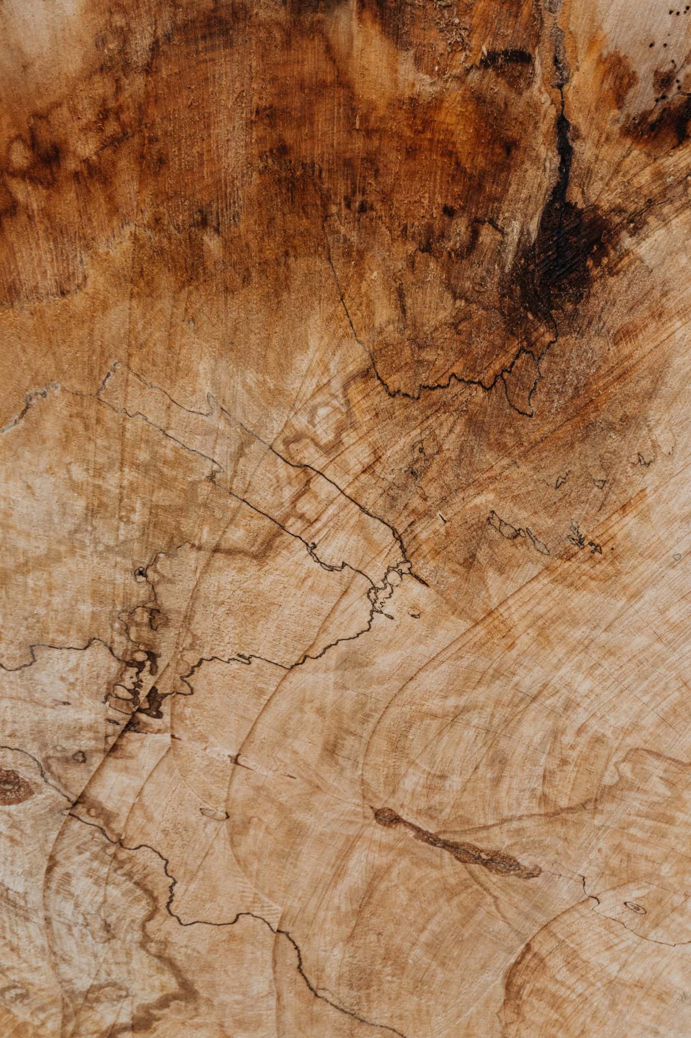 Teak Wood vs Sheesham Wood: Which One Should You Choose?